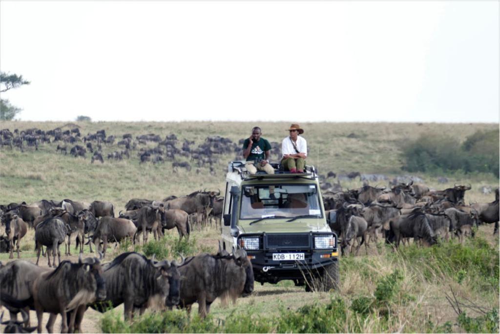 The Experiences - Matira Safari