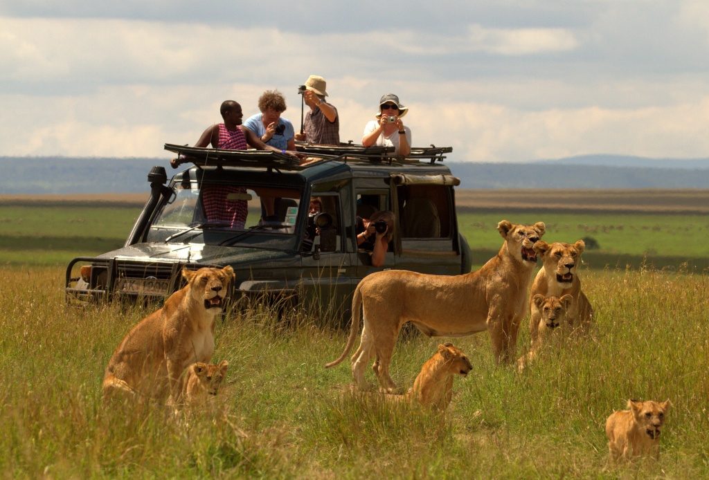 Gamedrive - Matira Safari