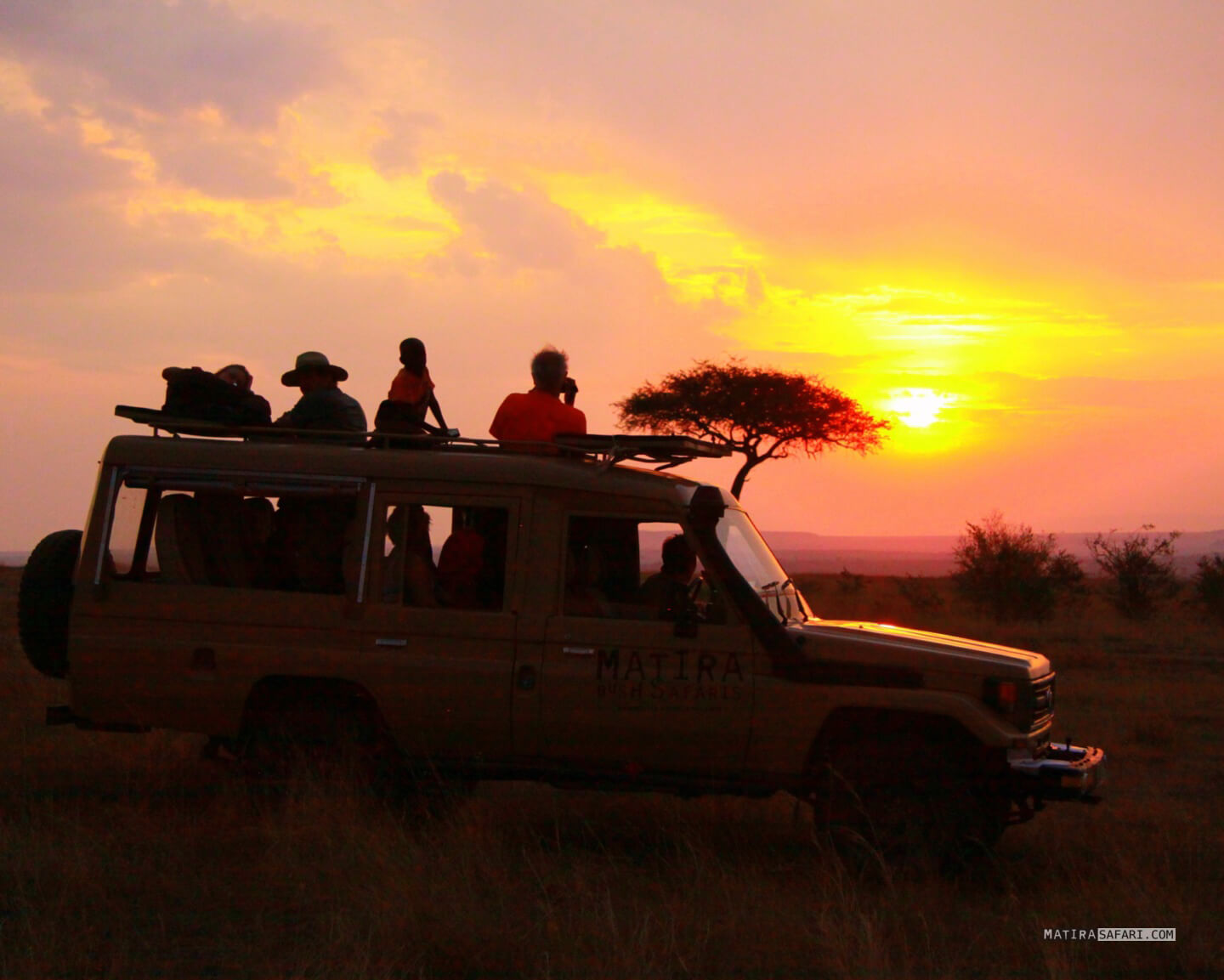 Guest Comments - Matira Safari